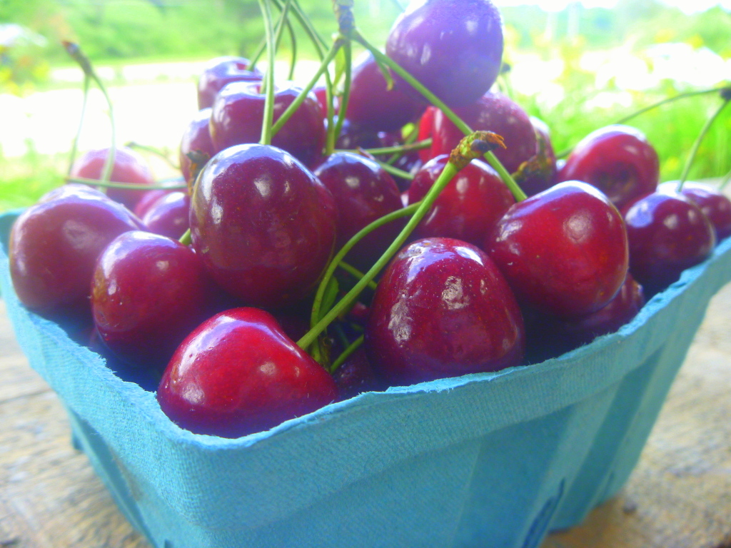 Fresh Local Fruits and Vegetables at Indian Creek Farm. | Indian Creek Farm