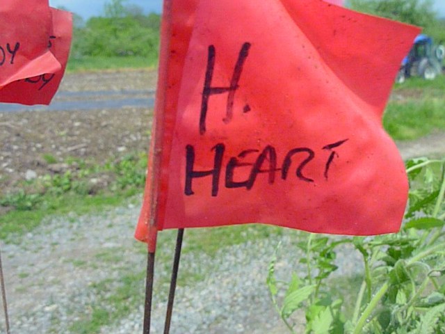 Tomato Flags Send Blessings Over Finger Lakes Farm Country as They Blow ...