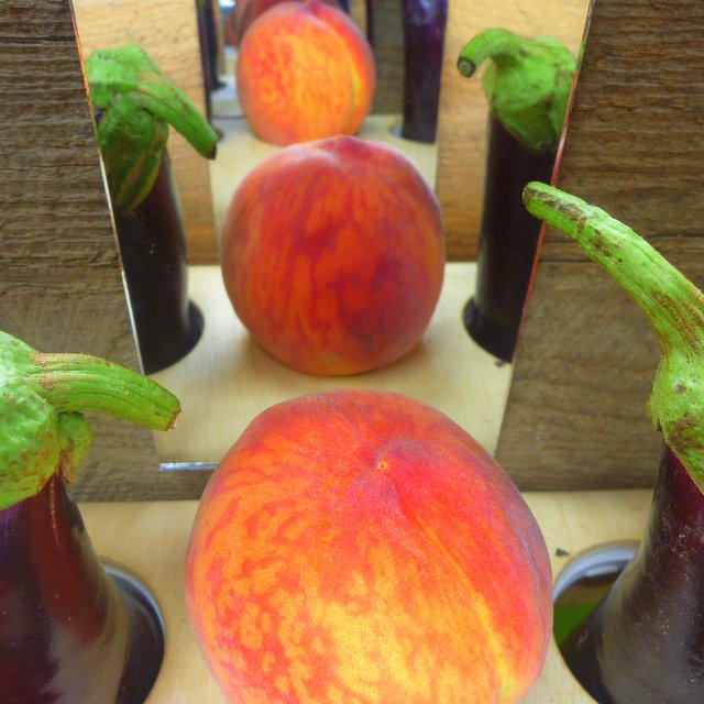 Lastttt Weekend to Pick Peaches! First Chance to Pick HONEYCRISP ...